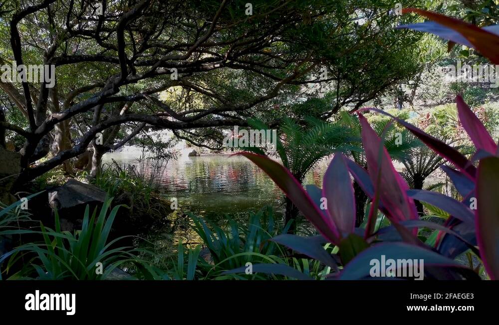 Secret corner Stock Videos & Footage - HD and 4K Video Clips - Alamy