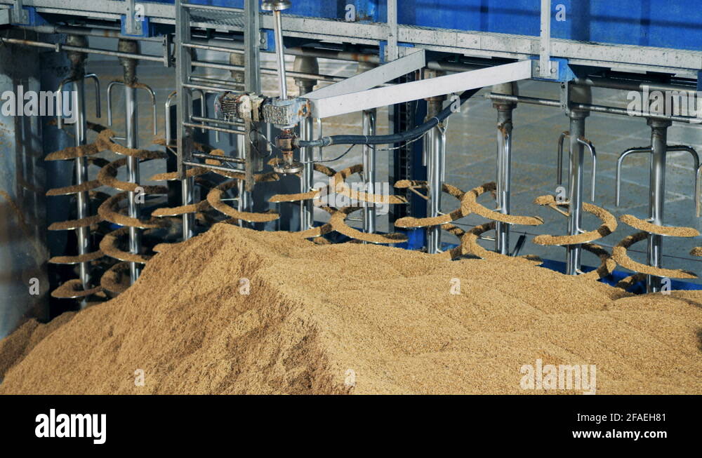 Grain sorting plant Stock Videos & Footage - HD and 4K Video Clips - Alamy