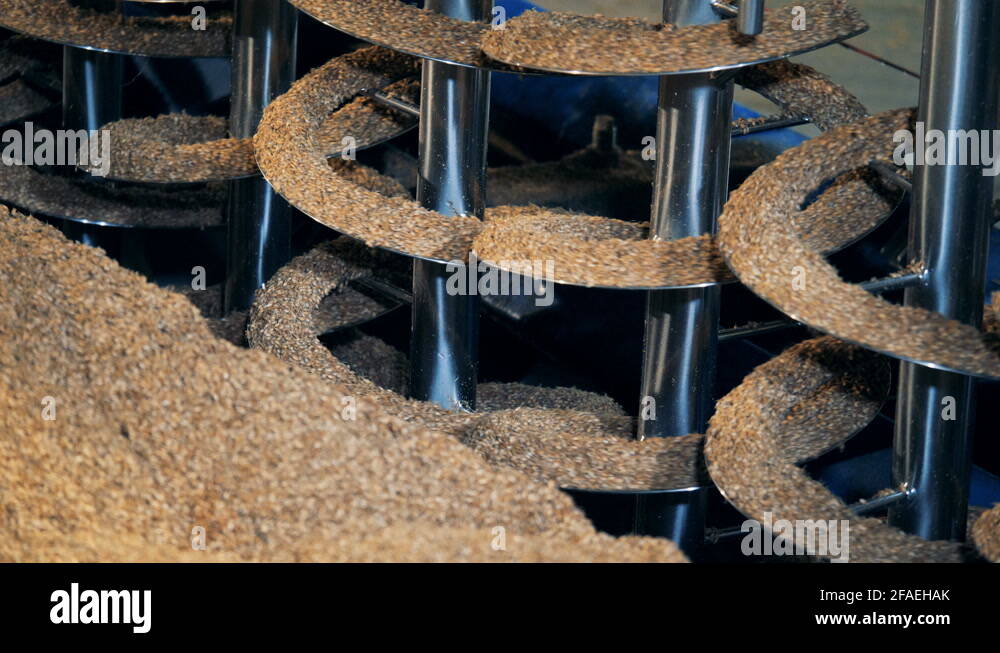 Crops drying Stock Videos & Footage - HD and 4K Video Clips - Alamy