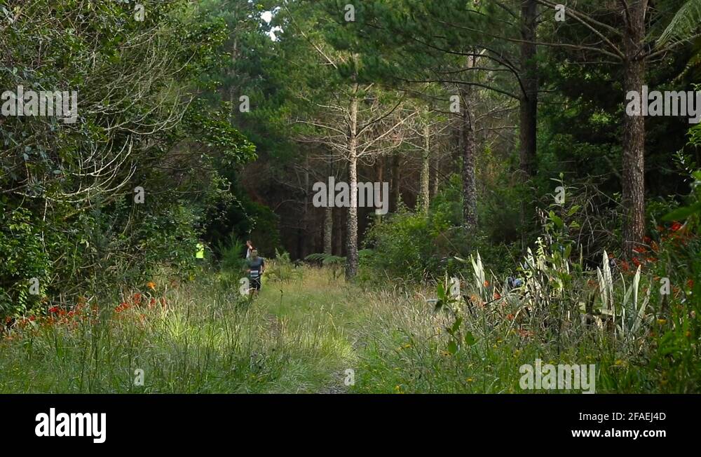 Running off road Stock Videos & Footage - HD and 4K Video Clips - Alamy