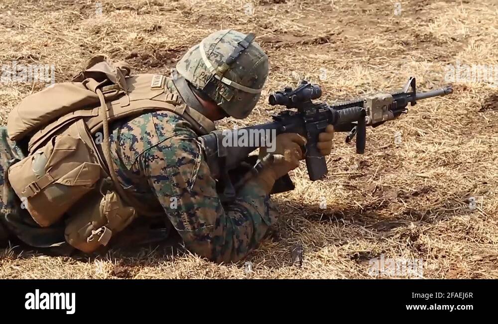 Squad tactics exercise Stock Videos & Footage - HD and 4K Video Clips ...