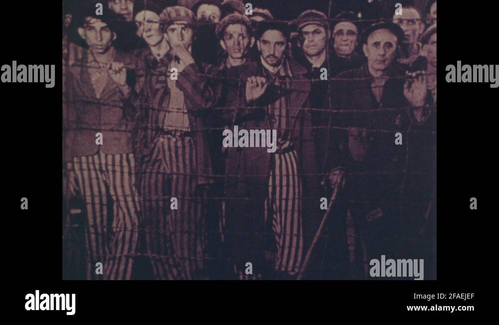 For the concentration camp victims Stock Videos & Footage - HD and 4K ...