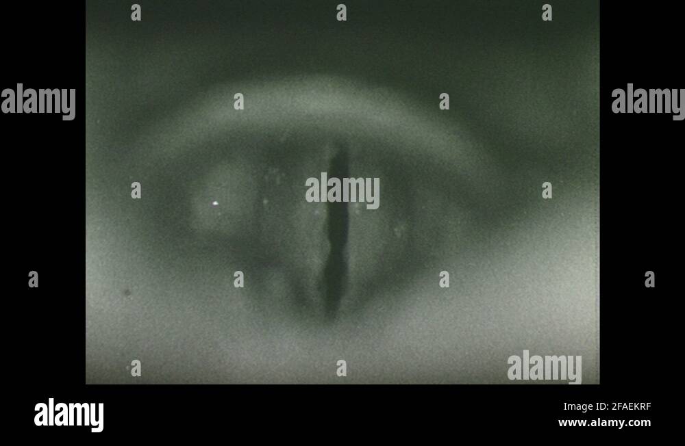 1960s: Larynx opens and closes. Graph that illustrates vibratory cycle ...