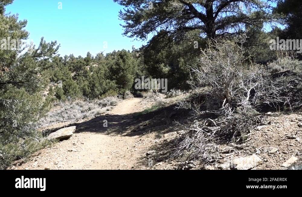 Desert section Stock Videos & Footage - HD and 4K Video Clips - Alamy