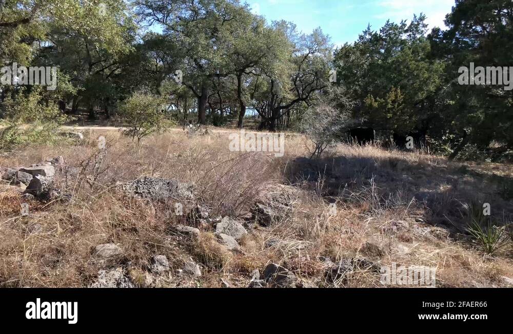 Texas hill country environment Stock Videos & Footage - HD and 4K Video ...