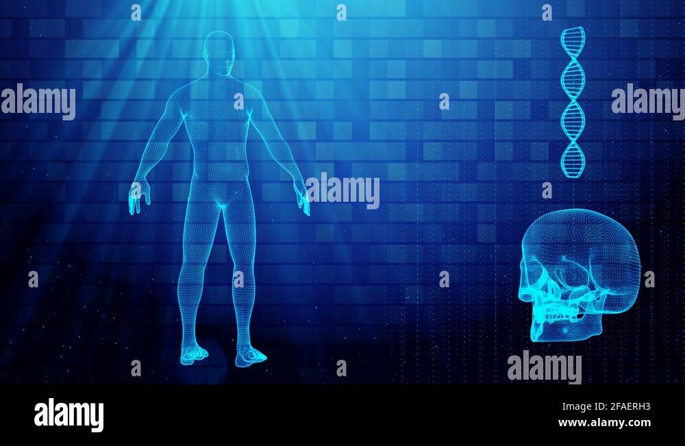 Medical background human body Stock Video Footage - Alamy