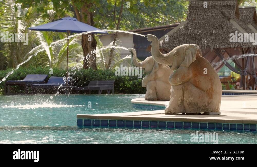 White elephant resort Stock Videos & Footage - HD and 4K Video Clips ...