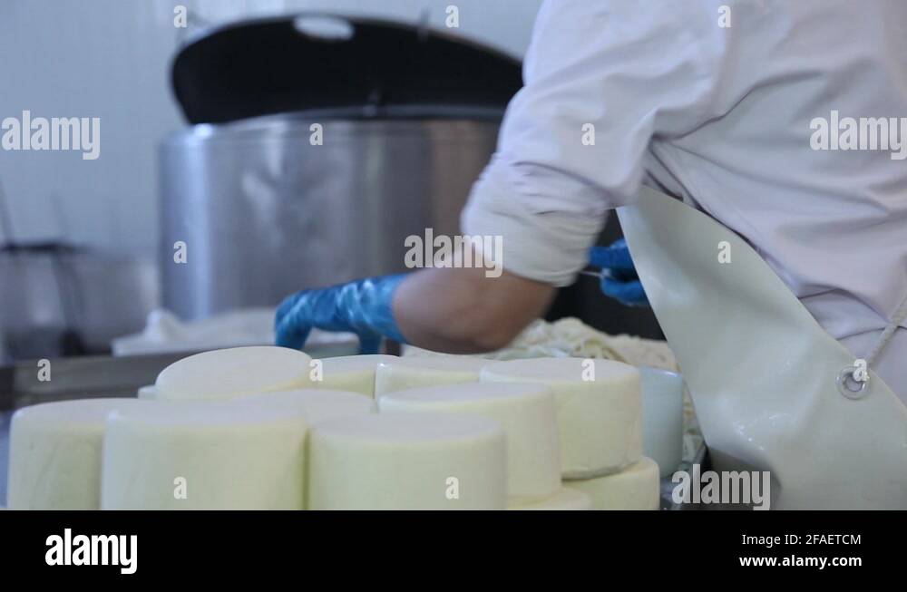 Cheese factory with cow Stock Videos & Footage - HD and 4K Video Clips ...