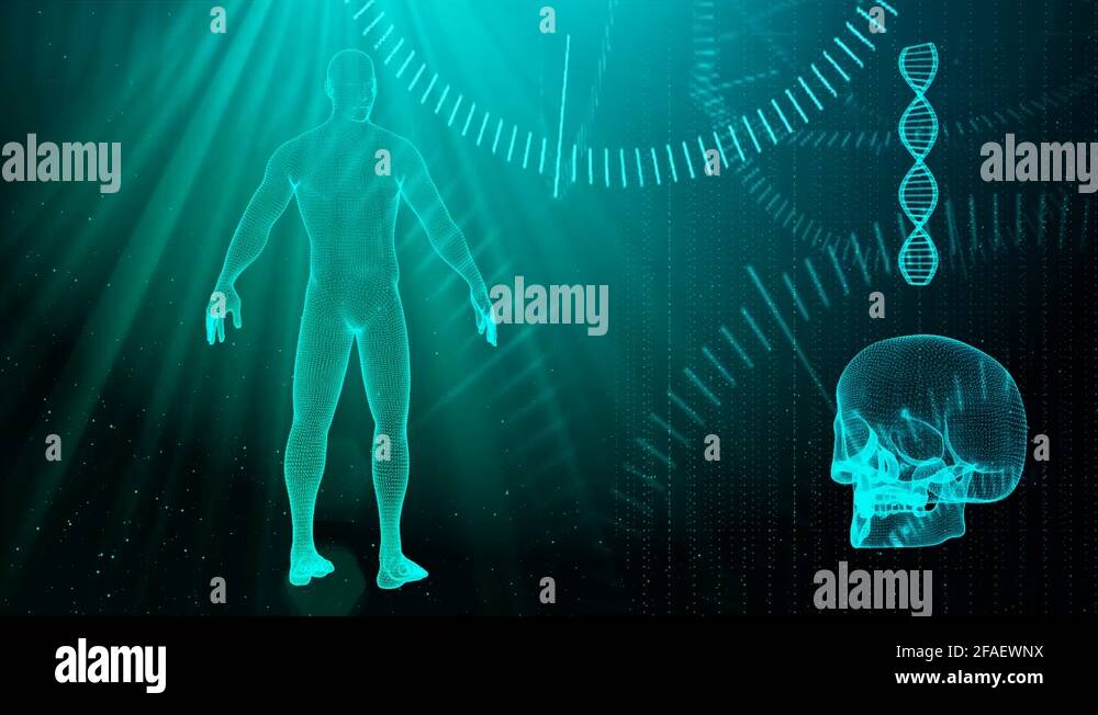 Standing human body Stock Videos & Footage - HD and 4K Video Clips - Alamy