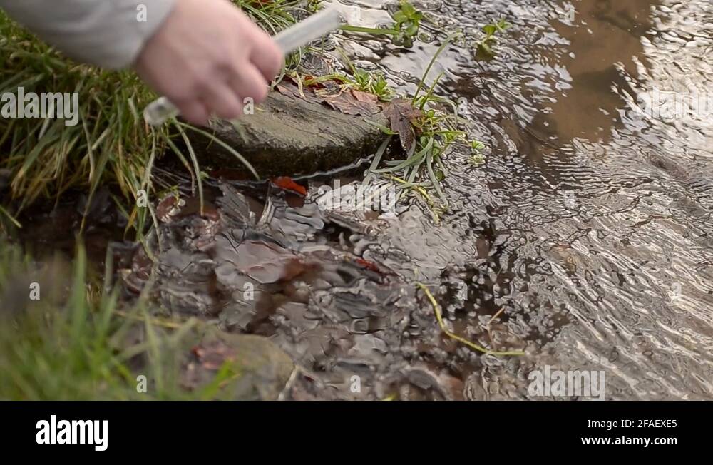 Collecting tube Stock Videos & Footage - HD and 4K Video Clips - Alamy
