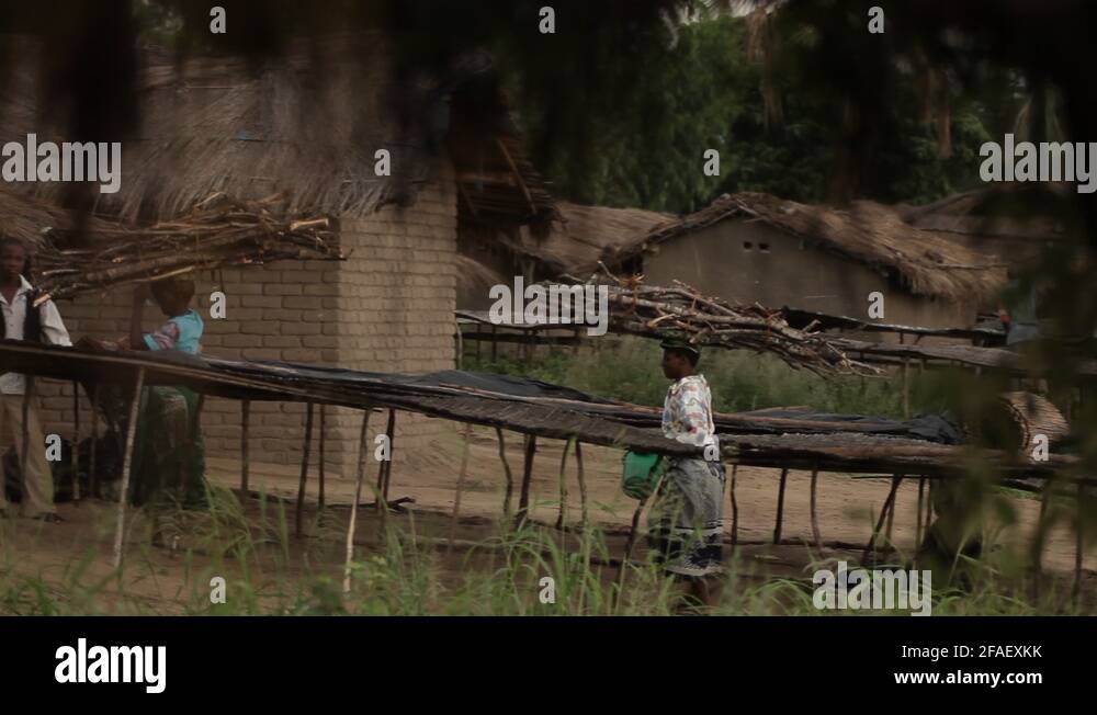 Women with sticks Stock Videos & Footage - HD and 4K Video Clips - Alamy