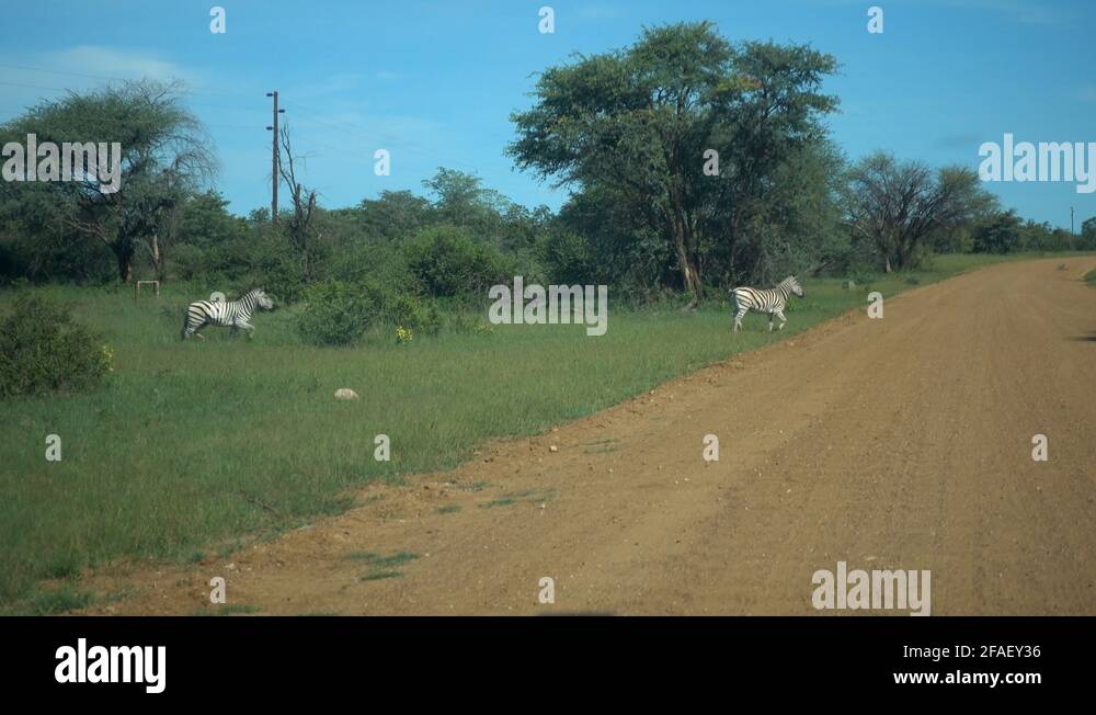Pan african road Stock Videos & Footage - HD and 4K Video Clips - Alamy
