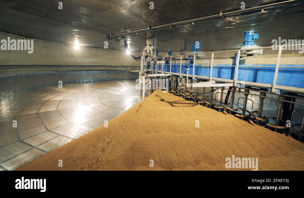 Drying seed Stock Videos & Footage - HD and 4K Video Clips - Alamy