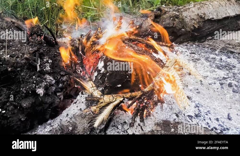 After summer solstice Stock Videos & Footage - HD and 4K Video Clips ...