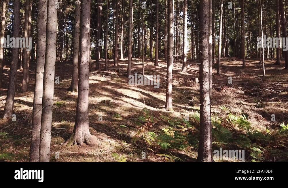 Many shadows Stock Videos & Footage - HD and 4K Video Clips - Alamy Many shadows Stock Videos & Footage - HD and 4K Video Clips - Alamy