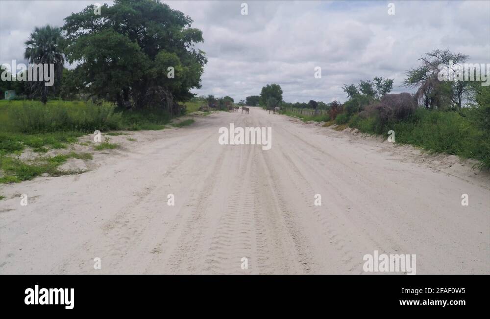 African roadblock Stock Videos & Footage - HD and 4K Video Clips - Alamy