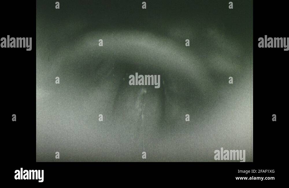 1960s: Larynx opens and closes. Graph illustrates vibratory cycle ...