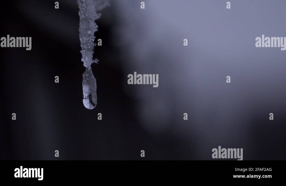 Frost drops Stock Videos & Footage - HD and 4K Video Clips - Alamy