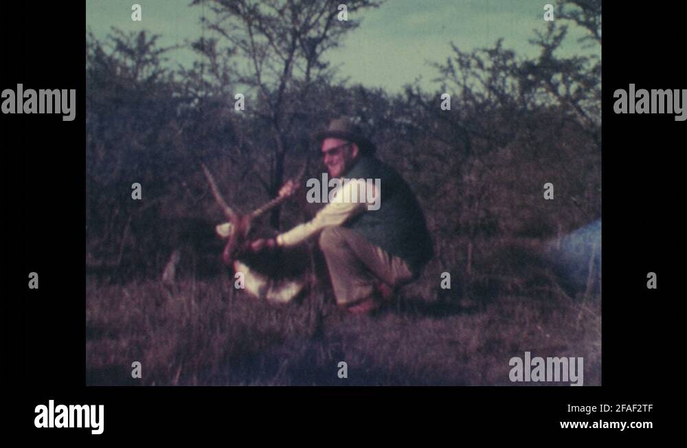 Pose posing for posed Stock Videos & Footage - HD and 4K Video Clips ...