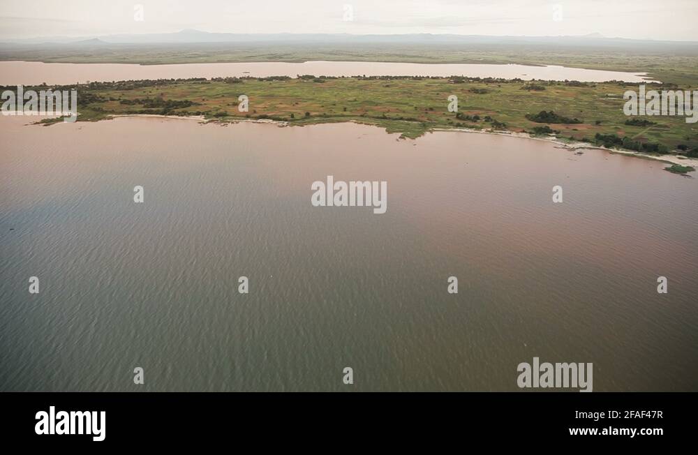 National tree of malawi Stock Videos & Footage - HD and 4K Video Clips ...