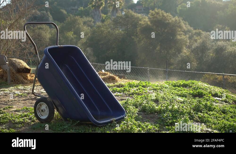 Steam rising from the ground Stock Videos & Footage - HD and 4K Video ...