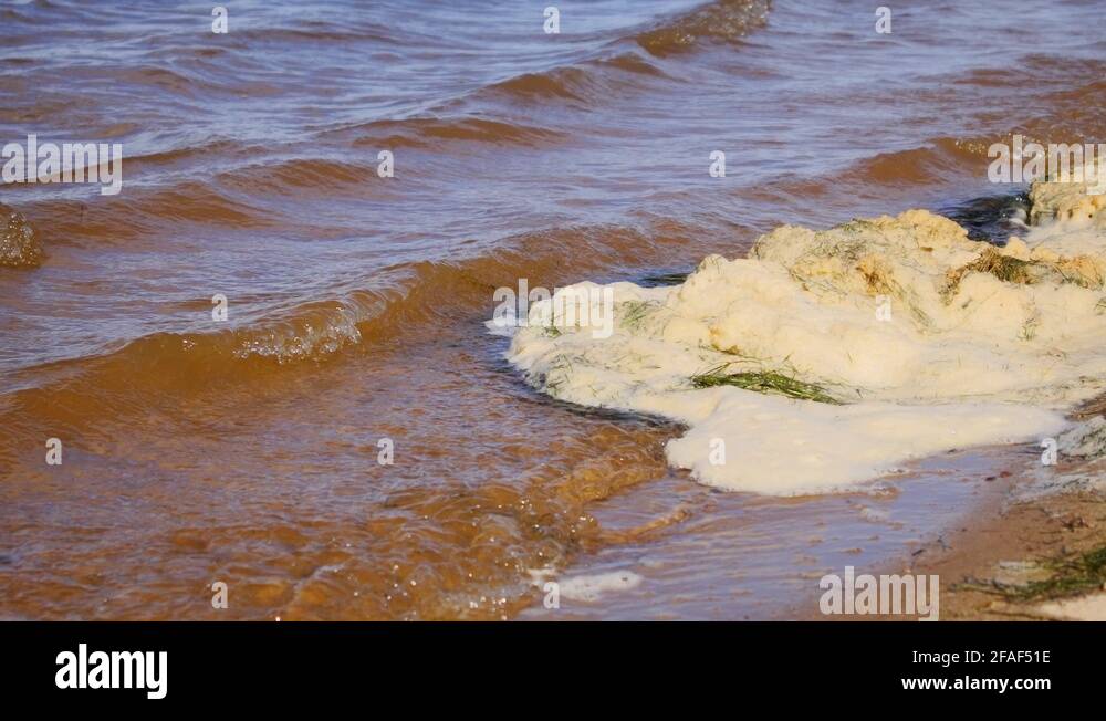 Foam from Toxic Waste on Bank of Volga River. 4k Ultra HD video Stock ...