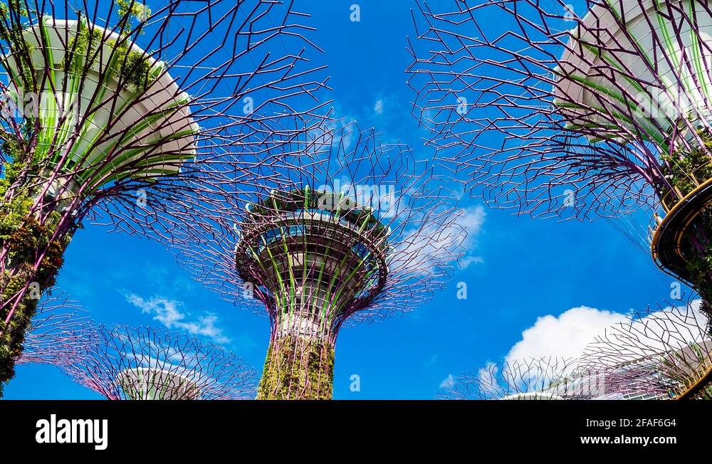 Cloud garden Stock Videos & Footage - HD and 4K Video Clips - Alamy