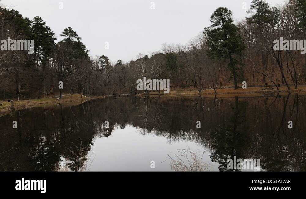 Winter pond Stock Videos & Footage - HD and 4K Video Clips - Alamy