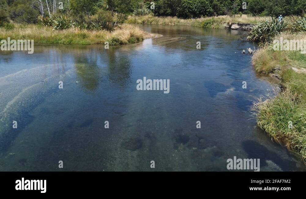Tilt up revealing trout fly fishing river, Taupo, New Zealand 4k Stock ...