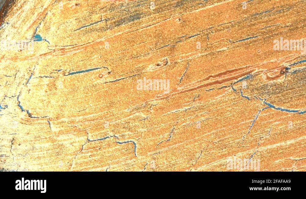 Crackle pattern Stock Videos & Footage - HD and 4K Video Clips - Alamy