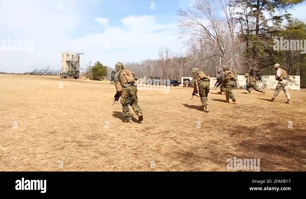 Squad tactics exercise Stock Videos & Footage - HD and 4K Video Clips ...