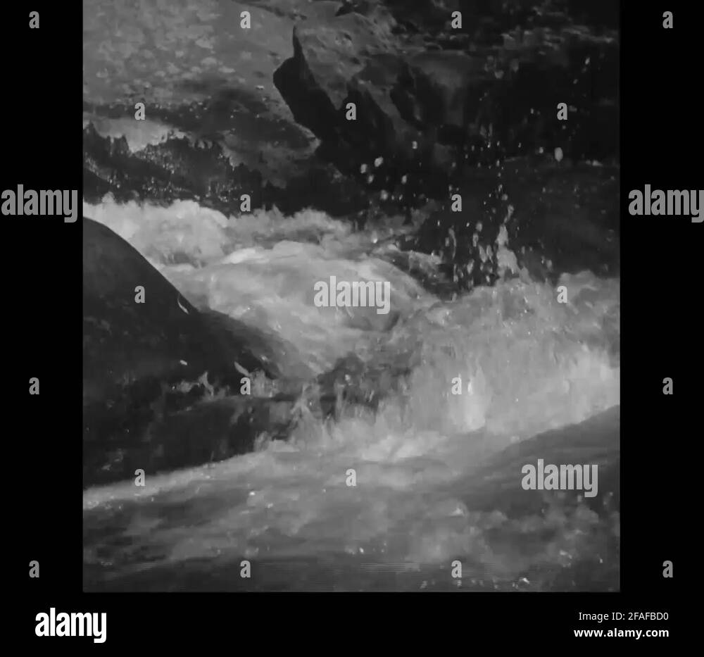 Speed through water Stock Videos & Footage - HD and 4K Video Clips - Alamy