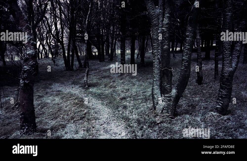 Dramatic walking Stock Videos & Footage - HD and 4K Video Clips - Alamy