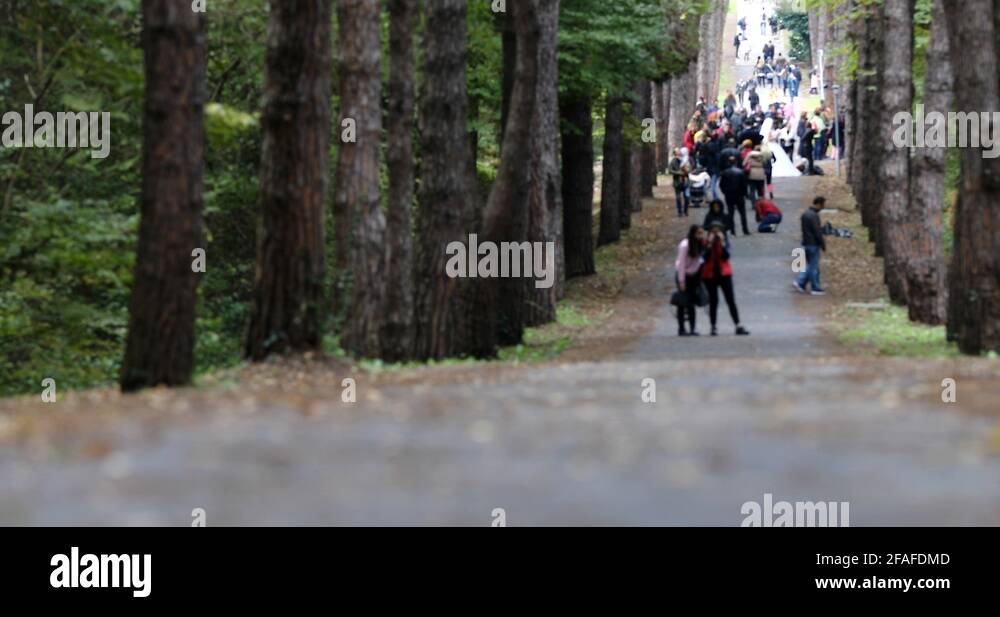 People walking on path pathway Stock Videos & Footage - HD and 4K Video ...