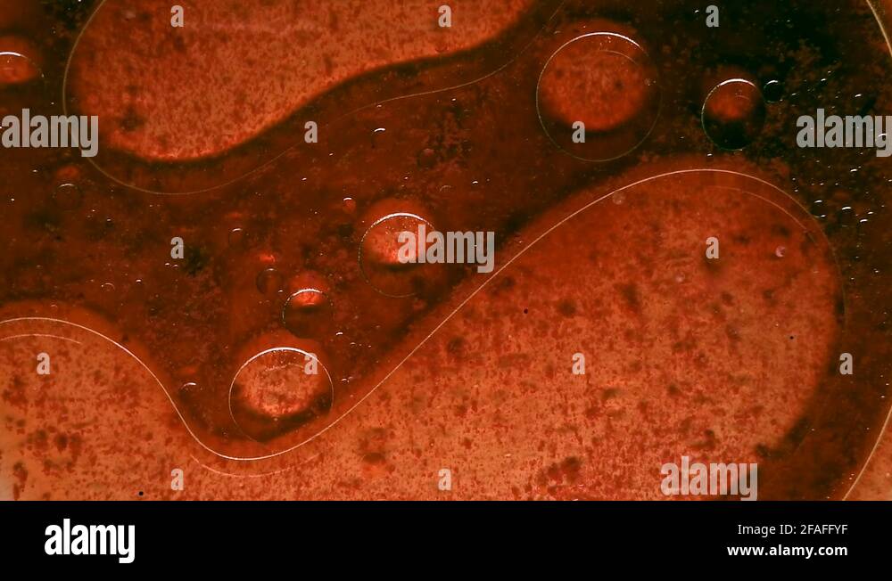 Abstract blobs of orange and red liquides and morphs slowly, forming a ...
