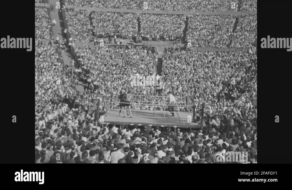 A lloyd Stock Videos & Footage - HD and 4K Video Clips - Alamy