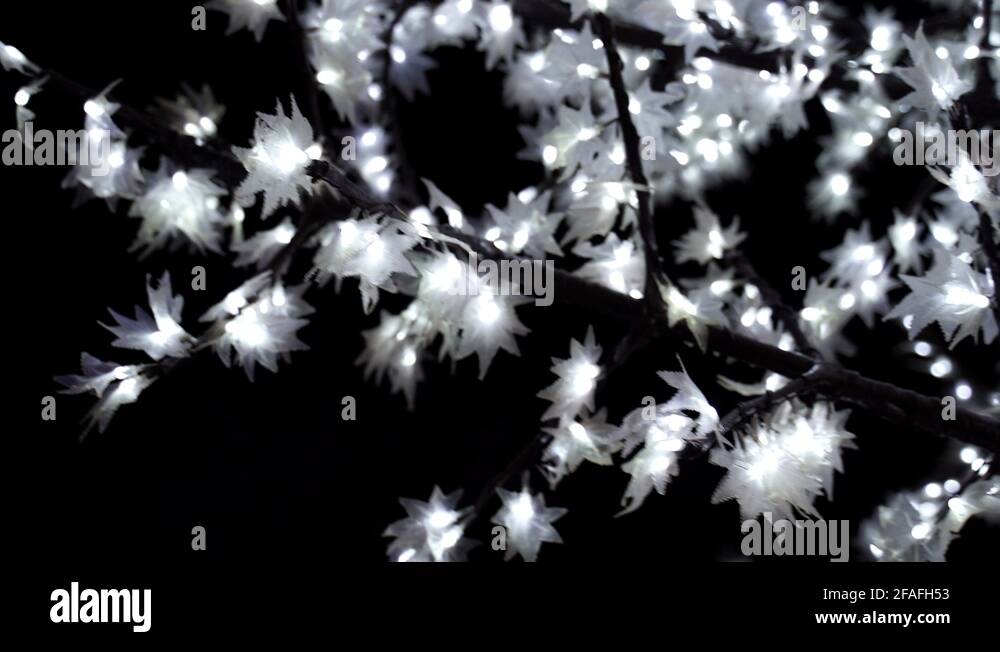 White string lights Stock Videos & Footage - HD and 4K Video Clips - Alamy
