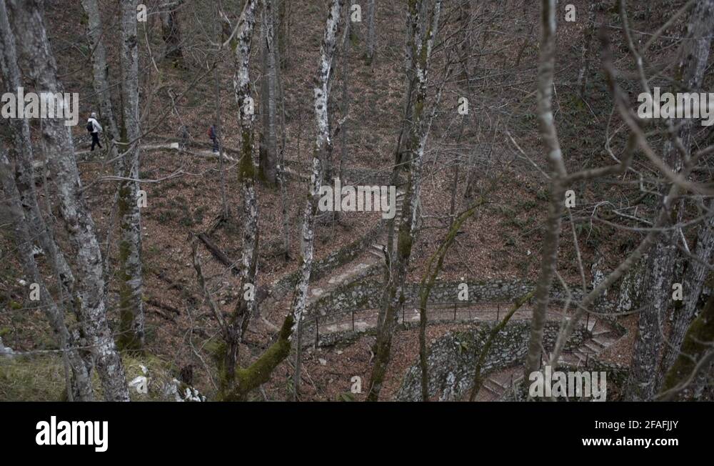 Serpentine model Stock Videos & Footage - HD and 4K Video Clips - Alamy