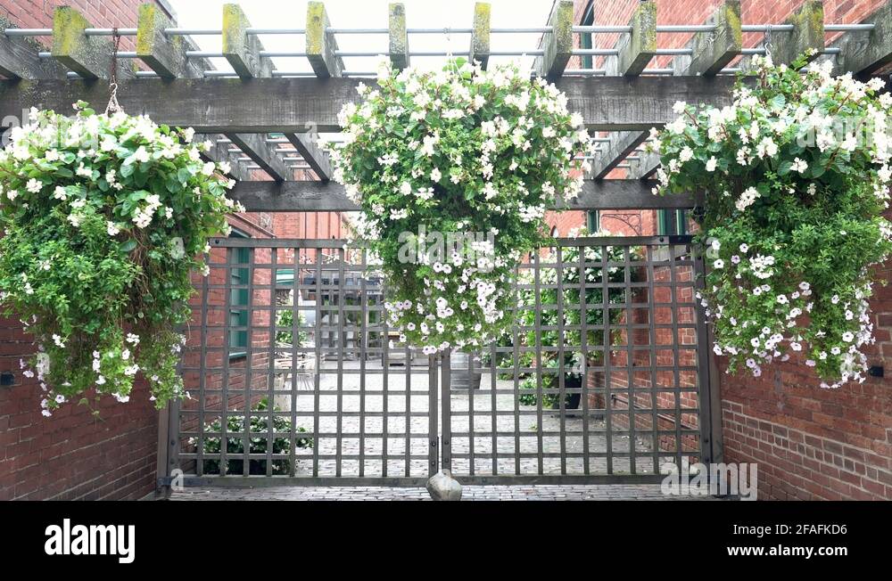 Gate with plants Stock Videos & Footage - HD and 4K Video Clips - Alamy
