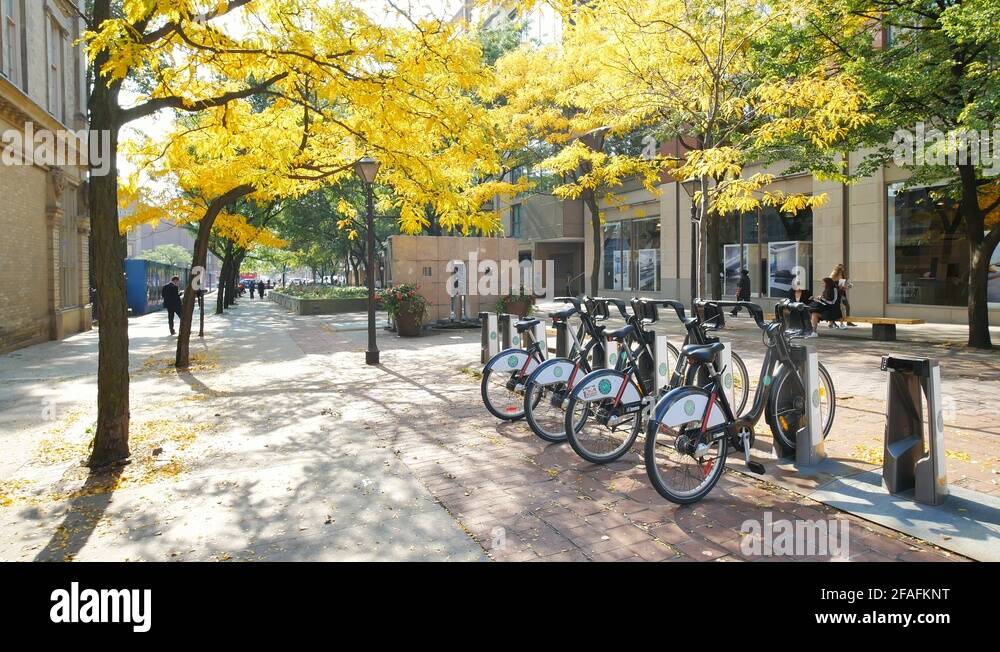 Toronto fall color Stock Videos & Footage - HD and 4K Video Clips - Alamy