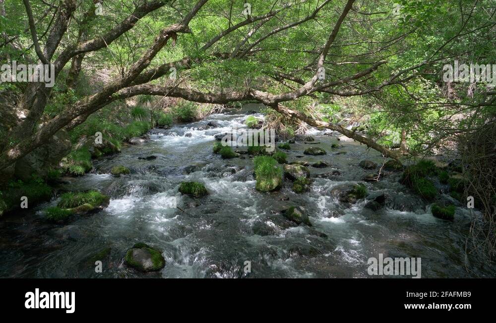 Stream flowing down a mountain Stock Videos & Footage - HD and 4K Video ...