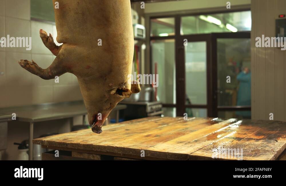Whole slaughtered pig Stock Videos & Footage - HD and 4K Video Clips ...