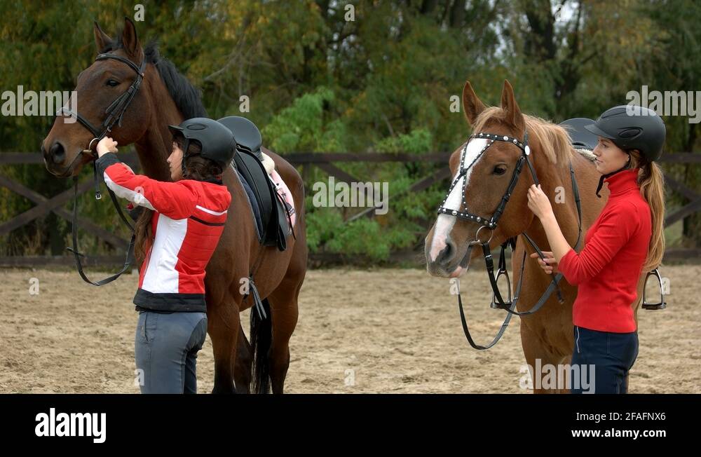 Female equestrians Stock Videos & Footage - HD and 4K Video Clips - Alamy