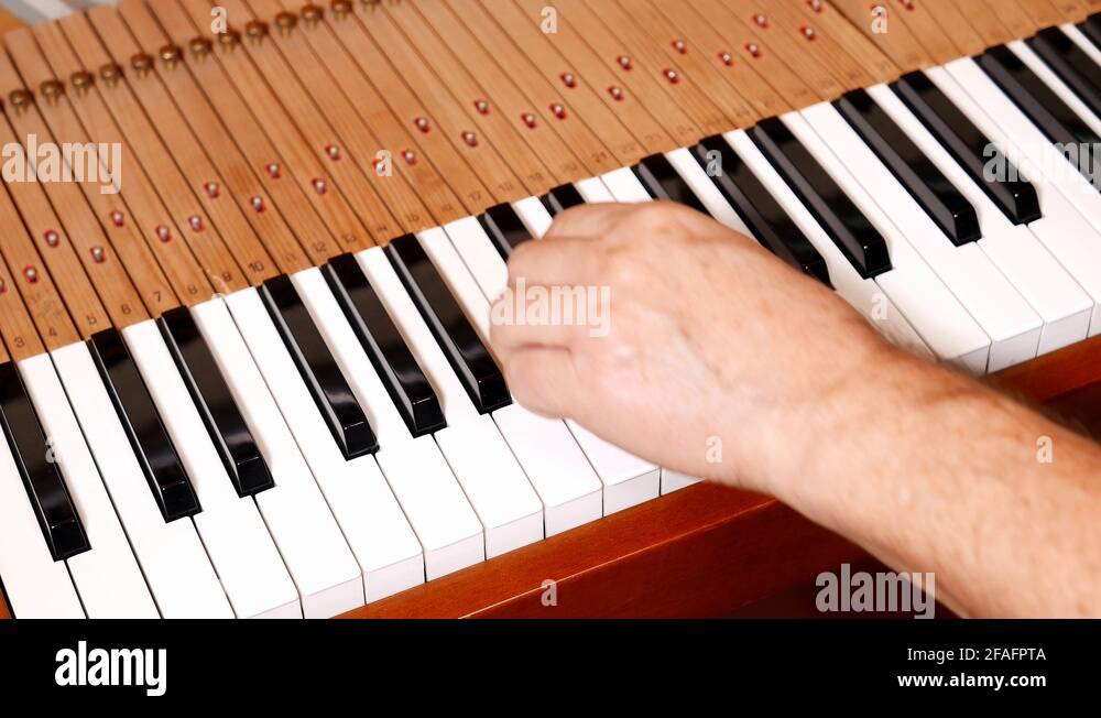 Tooth keys Stock Videos & Footage - HD and 4K Video Clips - Alamy