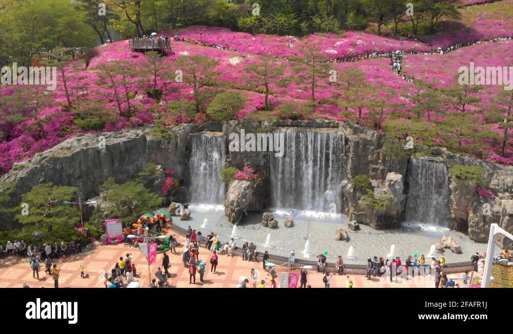 Korea shows Stock Videos & Footage - HD and 4K Video Clips - Alamy