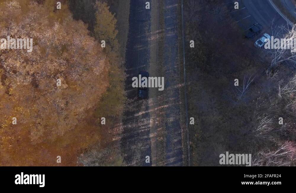 Driving bird Stock Videos & Footage - HD and 4K Video Clips - Alamy