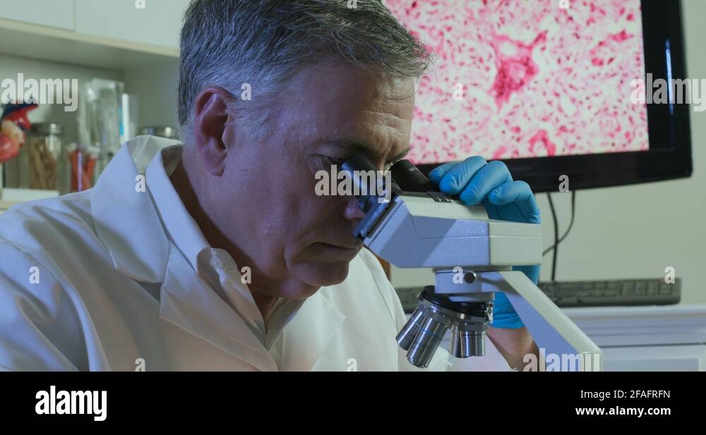 Research specimen Stock Videos & Footage - HD and 4K Video Clips - Alamy