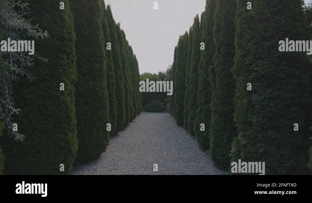 Square shaped trees Stock Videos & Footage - HD and 4K Video Clips - Alamy