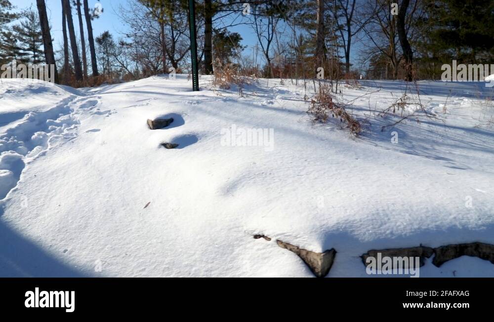 Horizontal path Stock Videos & Footage - HD and 4K Video Clips - Alamy