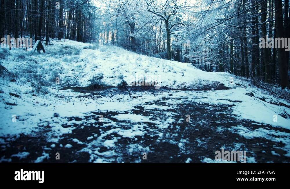 Snow path uk Stock Videos & Footage - HD and 4K Video Clips - Alamy